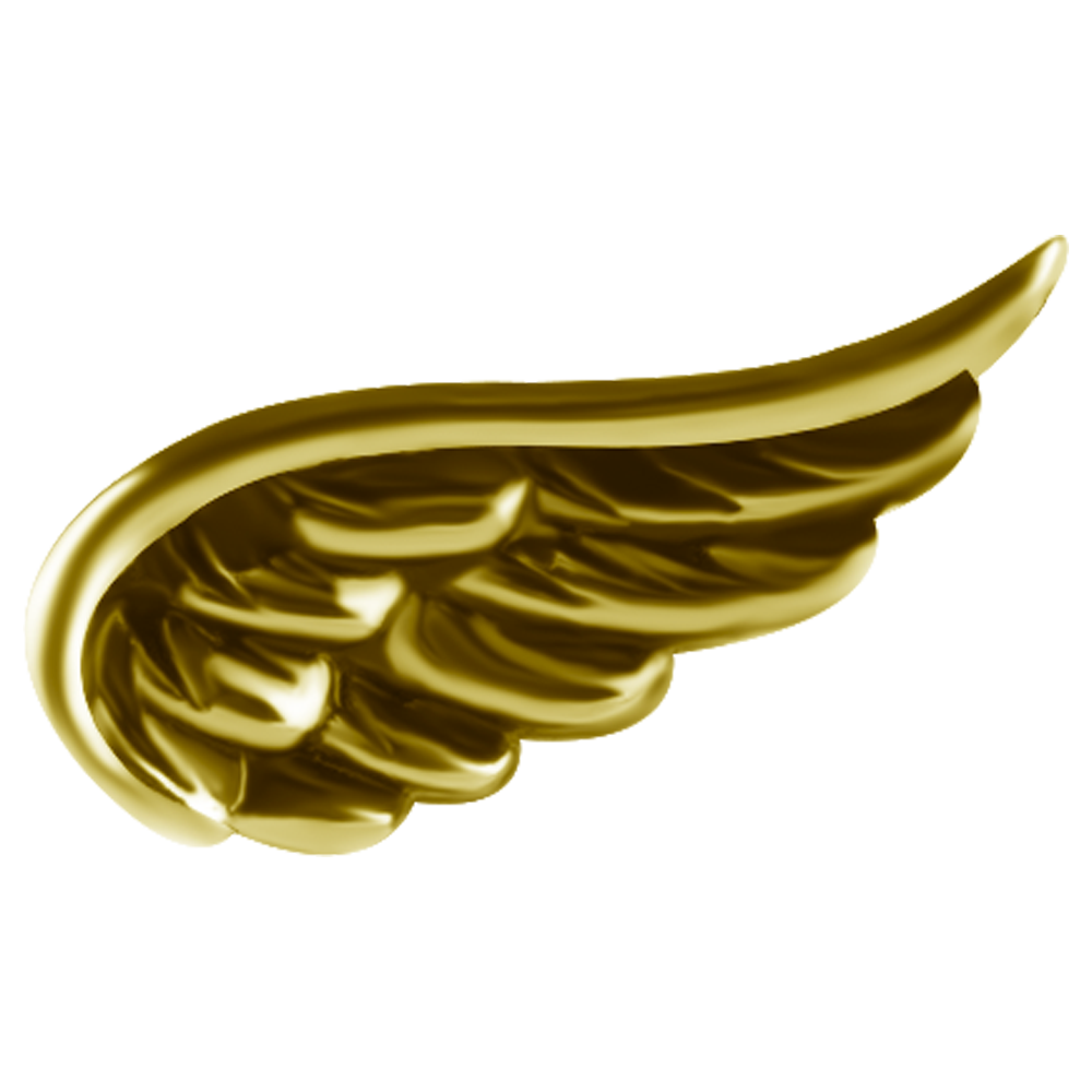 Classic Wing Attachment - Left – Queen Of Steel