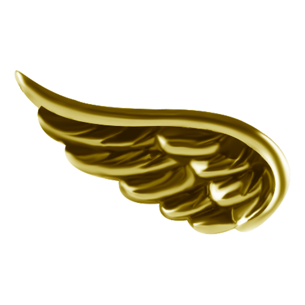 Classic Wing Attachment - Left – Queen Of Steel