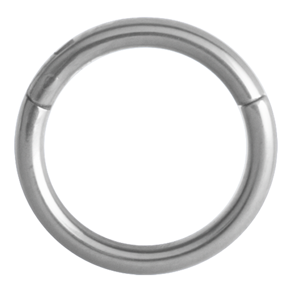 Titanium Hinged Segment Ring – Queen Of Steel
